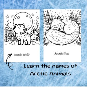 Arctic Animal Coloring Pages With Fun Facts - Printable Activity Book ...