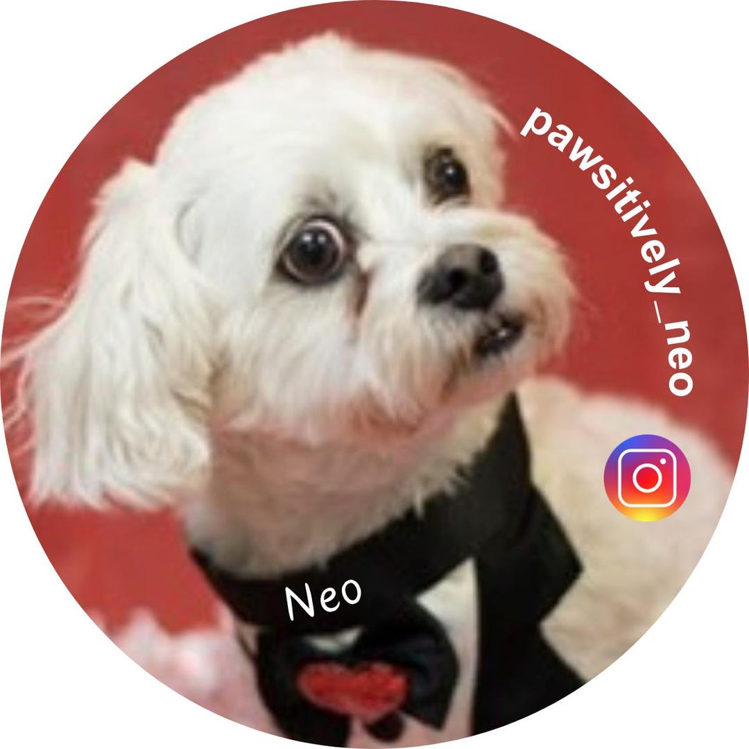 Neo Calm Strip Stickers (set of 5) - Etsy