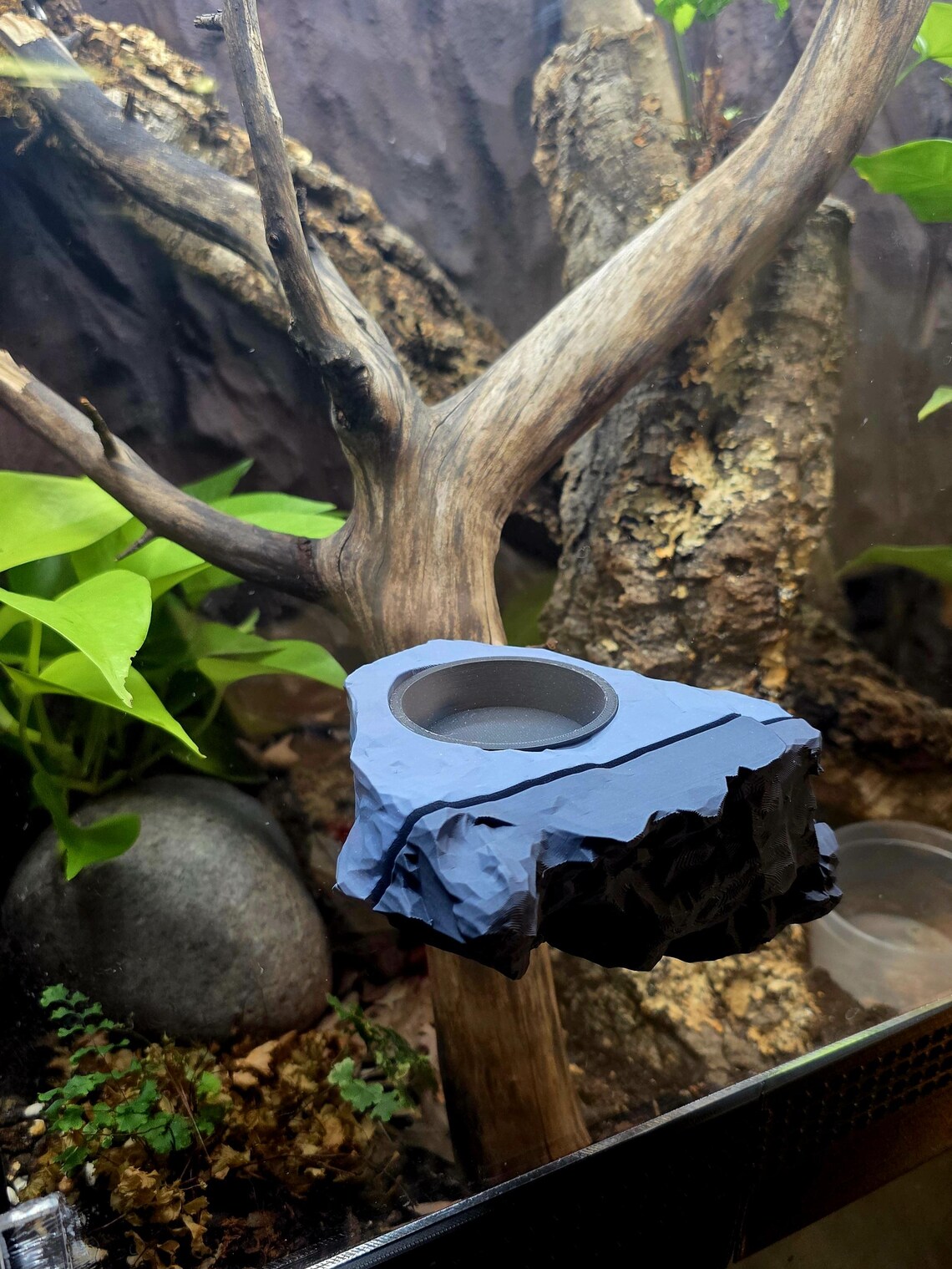 Magnetic Stick on Crested Gecko Feeding Ledge, Naturalistic Look for ...