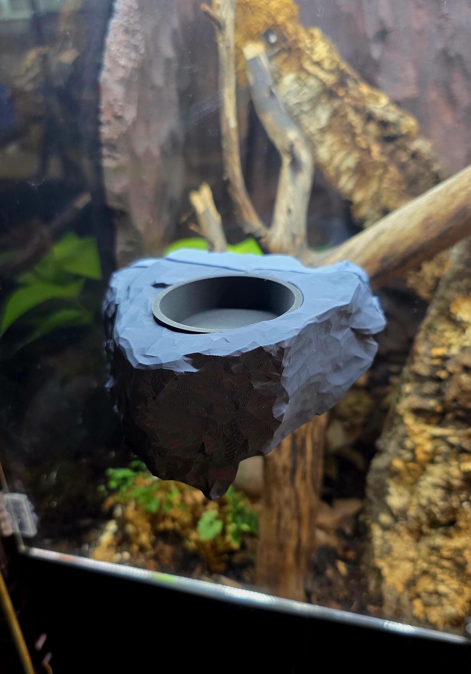 Magnetic Stick on Crested Gecko Feeding Ledge, Naturalistic Look for ...