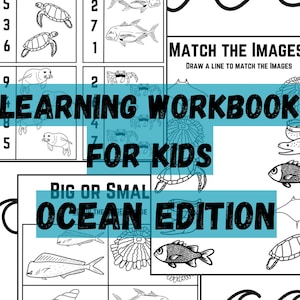 Dive Into Learning! Printable Workbook for Kids - Etsy