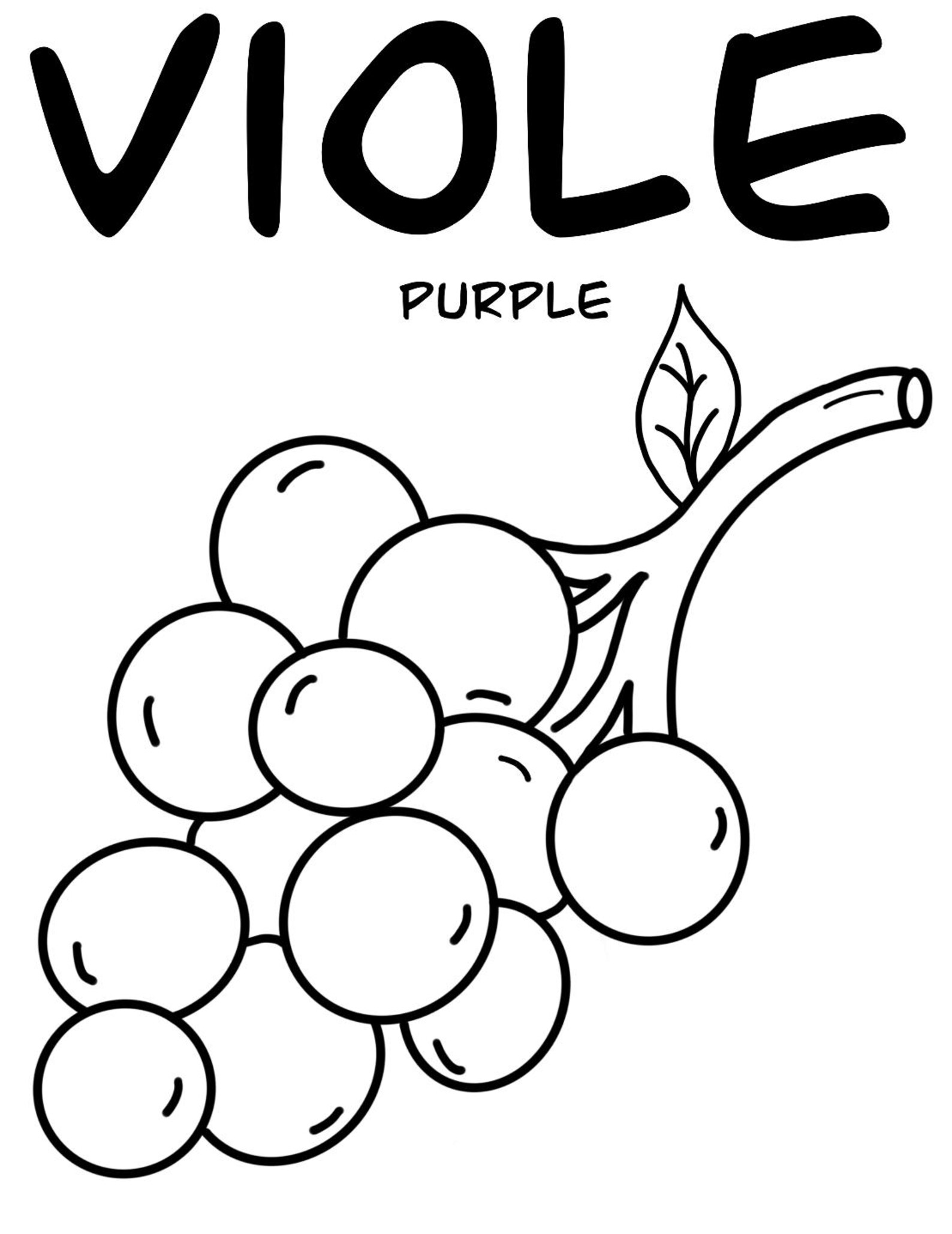 Learn Colors in Samoan | Food Edition | Printable PDF Digital Download ...