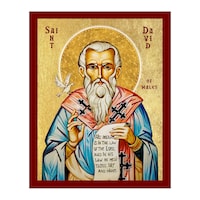 Orthodox Icon of St David of Wales - Etsy
