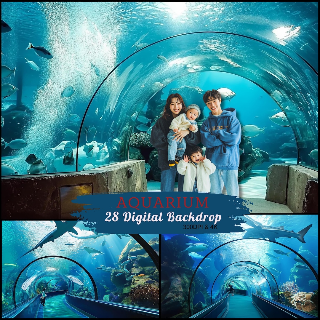 28 Aquarium Backdrop | Stunning Sea Creatures Background for Memorable ...