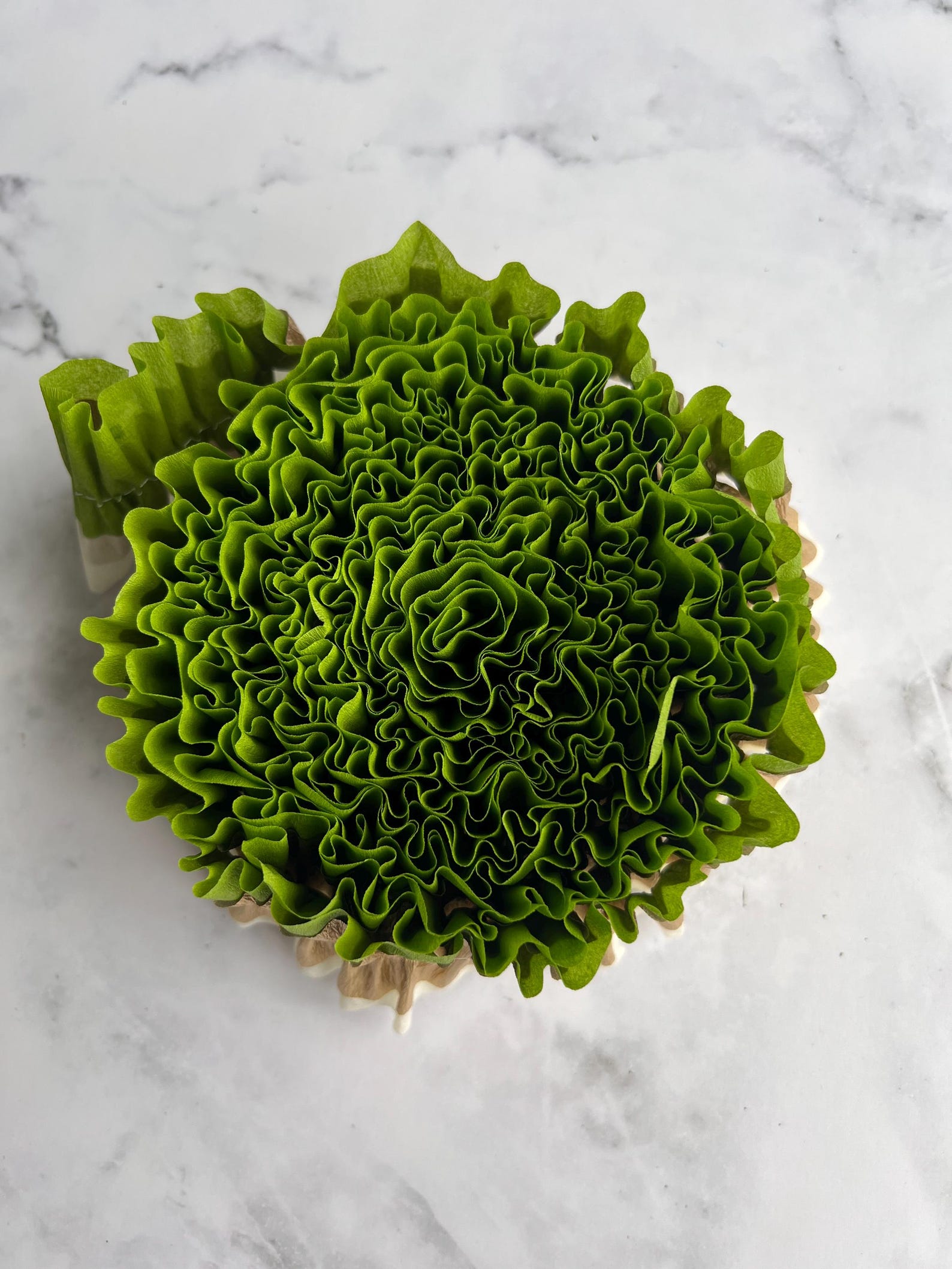 Ruffled Crepe Paper Streamers- Party Decorations, Green, Cream, Gold ...