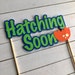 Hatching Soon Cake Topper Baby Shower, Dinosaur Party - Etsy