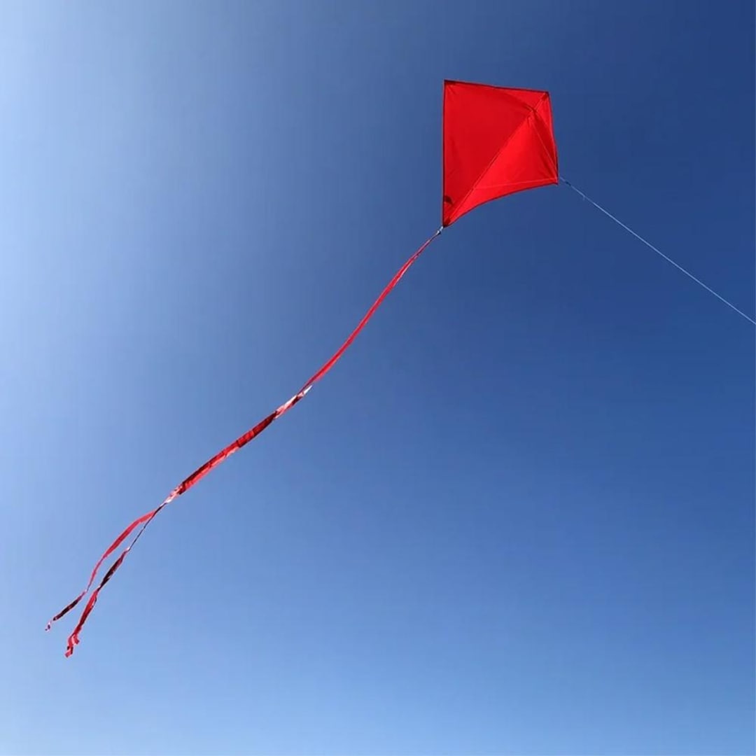 Classic Diamond - Single Line Kite - Single Colour - Various Colours ...