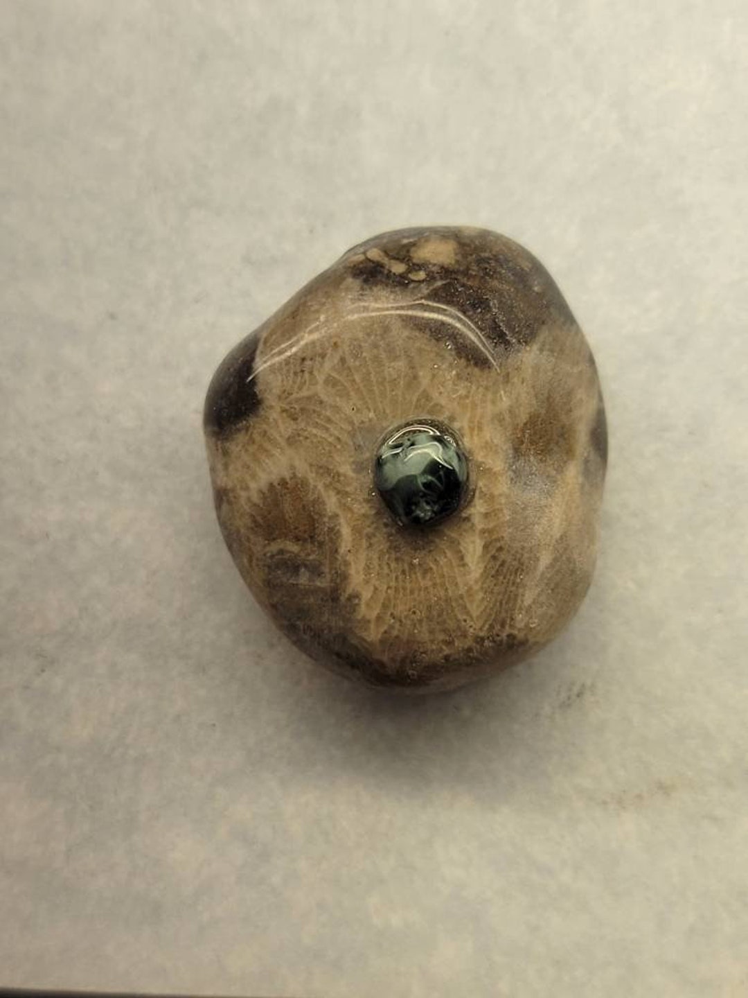 Michigan State Stone Petoskey, Michigan State Gem Chlorastrolite in the ...