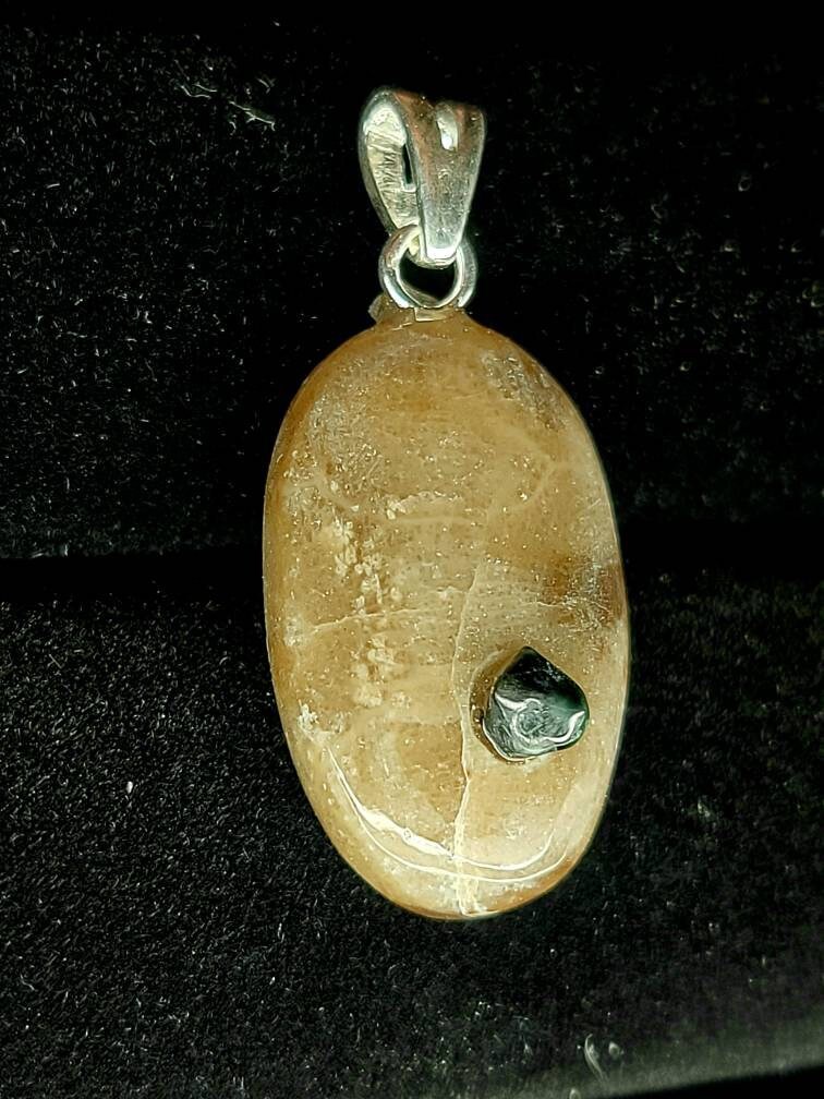 Hand Polished Michigan State Stone Petoskey, Michigan State Gem ...