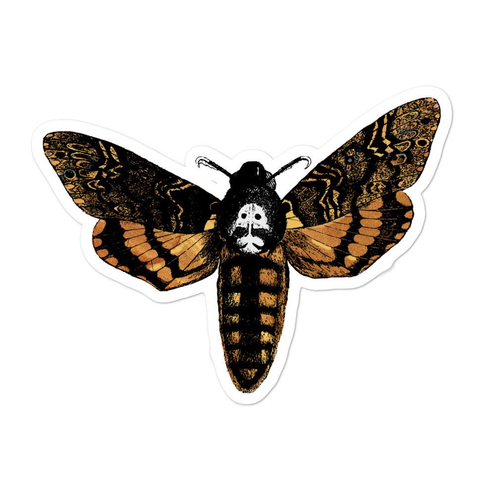 Wall Décor Moth vinyl sticker Floral Moth Winged Wonder Moth Sticker ...