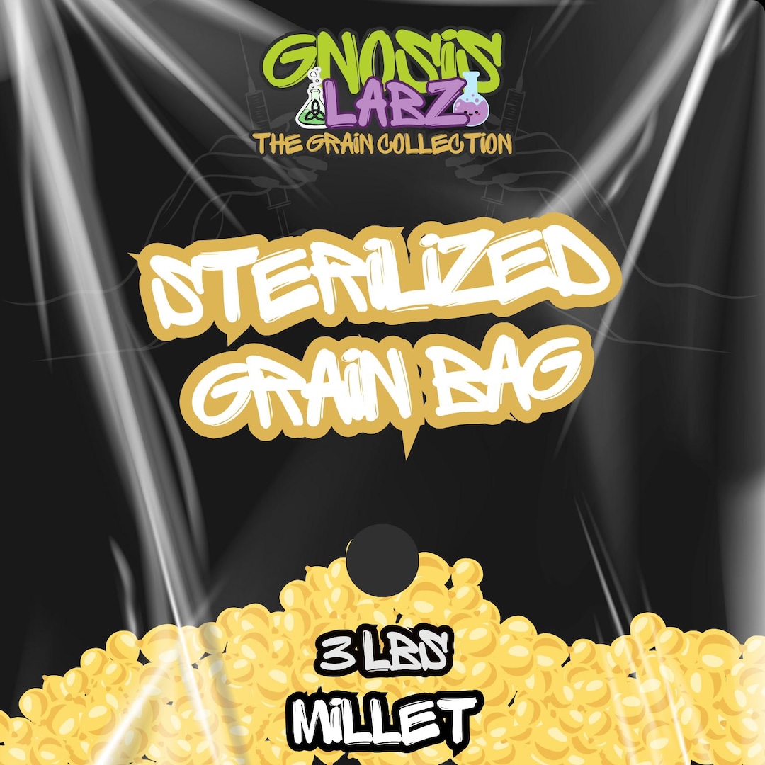Sterilized Grain Bag 3lb (millet) - With Injection Port and Filter ...