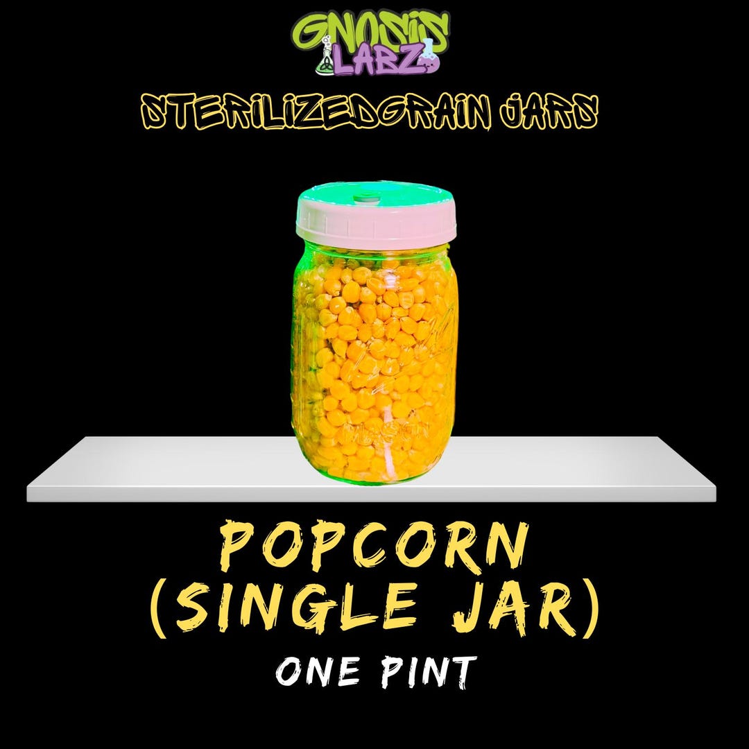 Sterilized Grain Jar One Quart (corn) -modified Lid With Injection Port ...