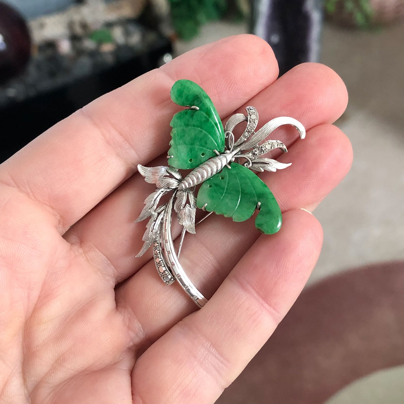 Fine Jadeite Moth Brooch 14k White Gold Carved Jade Wings - Etsy