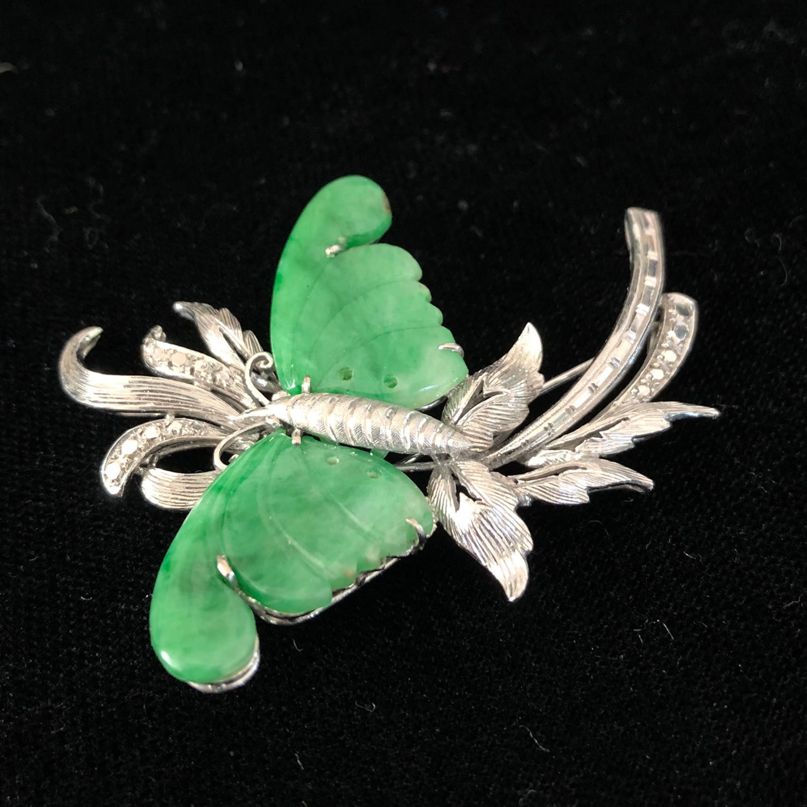 Fine Jadeite Moth Brooch 14k White Gold Carved Jade Wings - Etsy