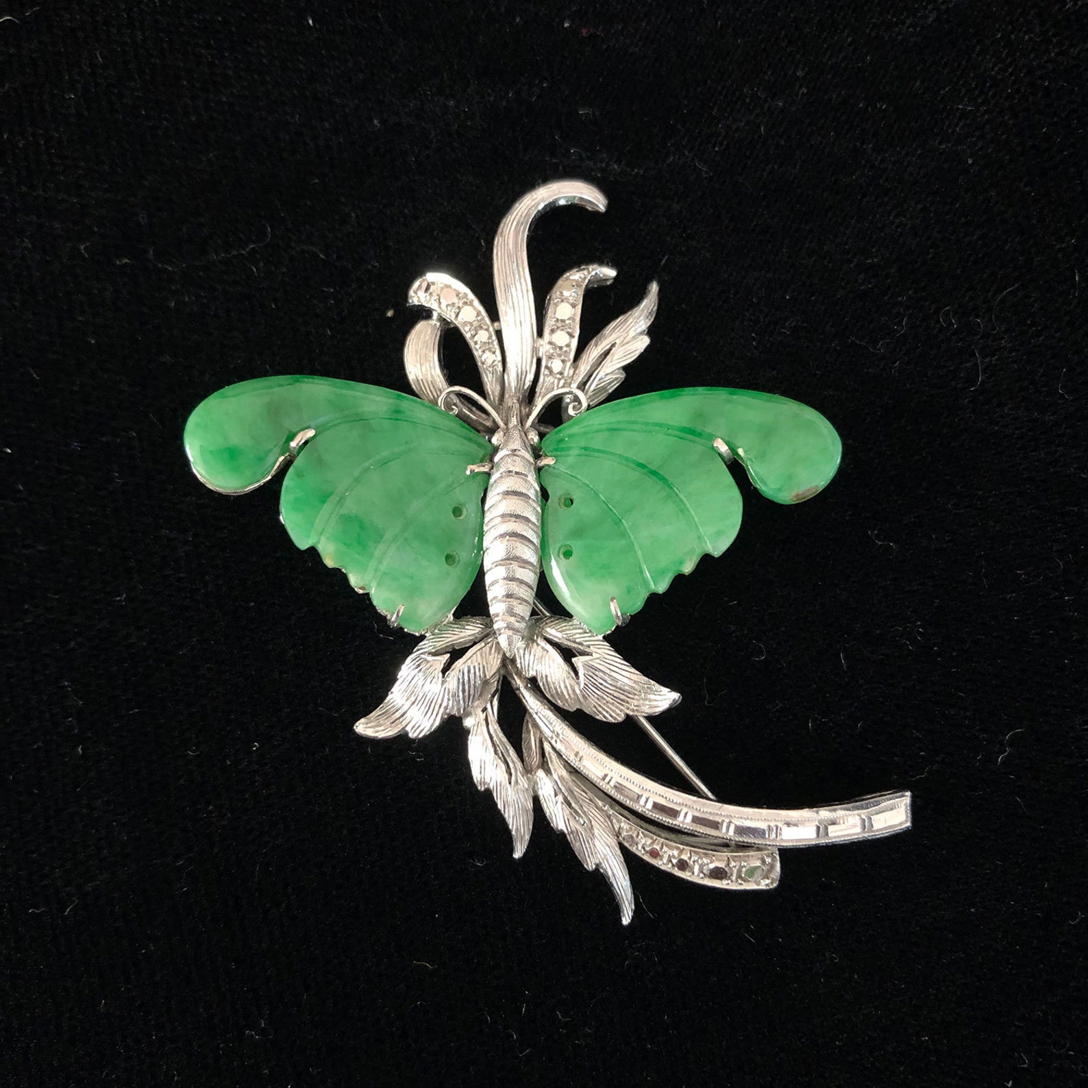 Fine Jadeite Moth Brooch 14k White Gold Carved Jade Wings - Etsy