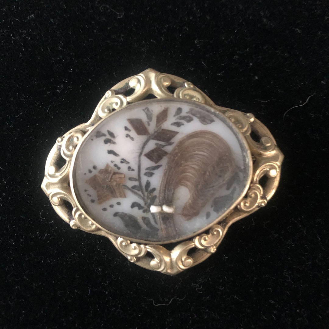 1850s Victorian Hair Work Panel Brooch, Intricate Floral Design on ...