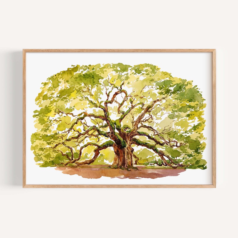 Angel Oak - Etsy