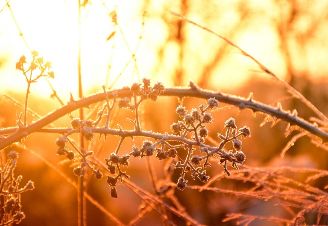 Sunset Country Photo - 10x8" - Country, Rural, Fall, Autumn, Evening ...