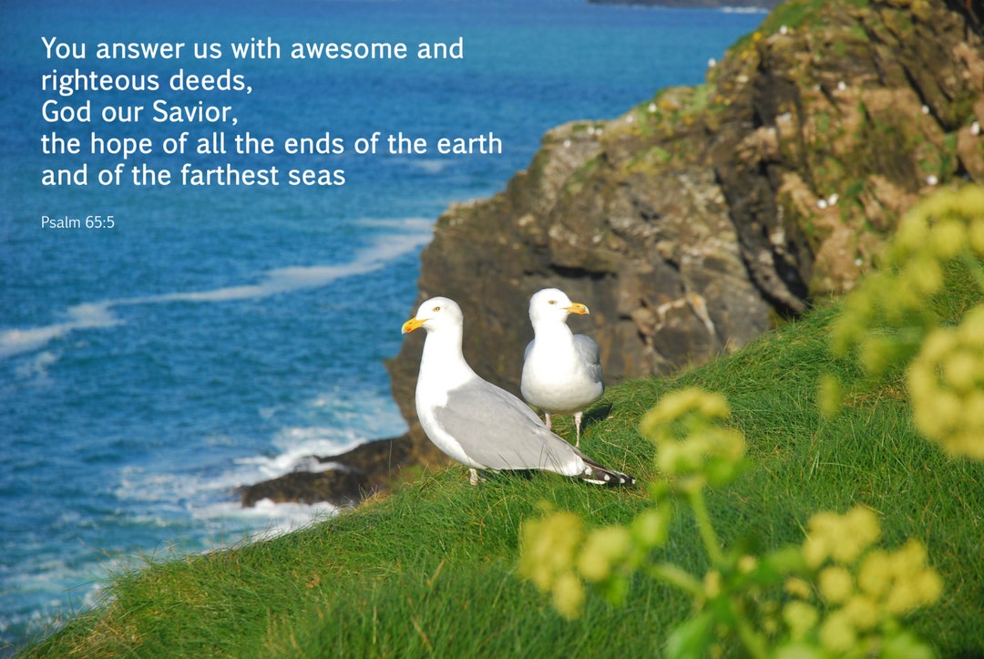 Psalm 65:5 - Christian Inspirational Photo With Bible Text - 10x8 ...