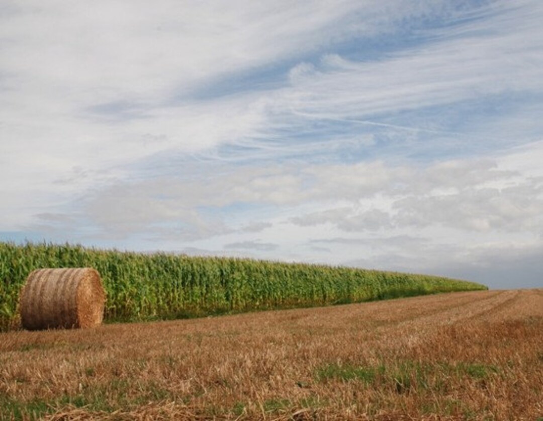 Fall Autumn Farm Landscape, France - 10x8 - Hay Rolls, Field, Straw ...