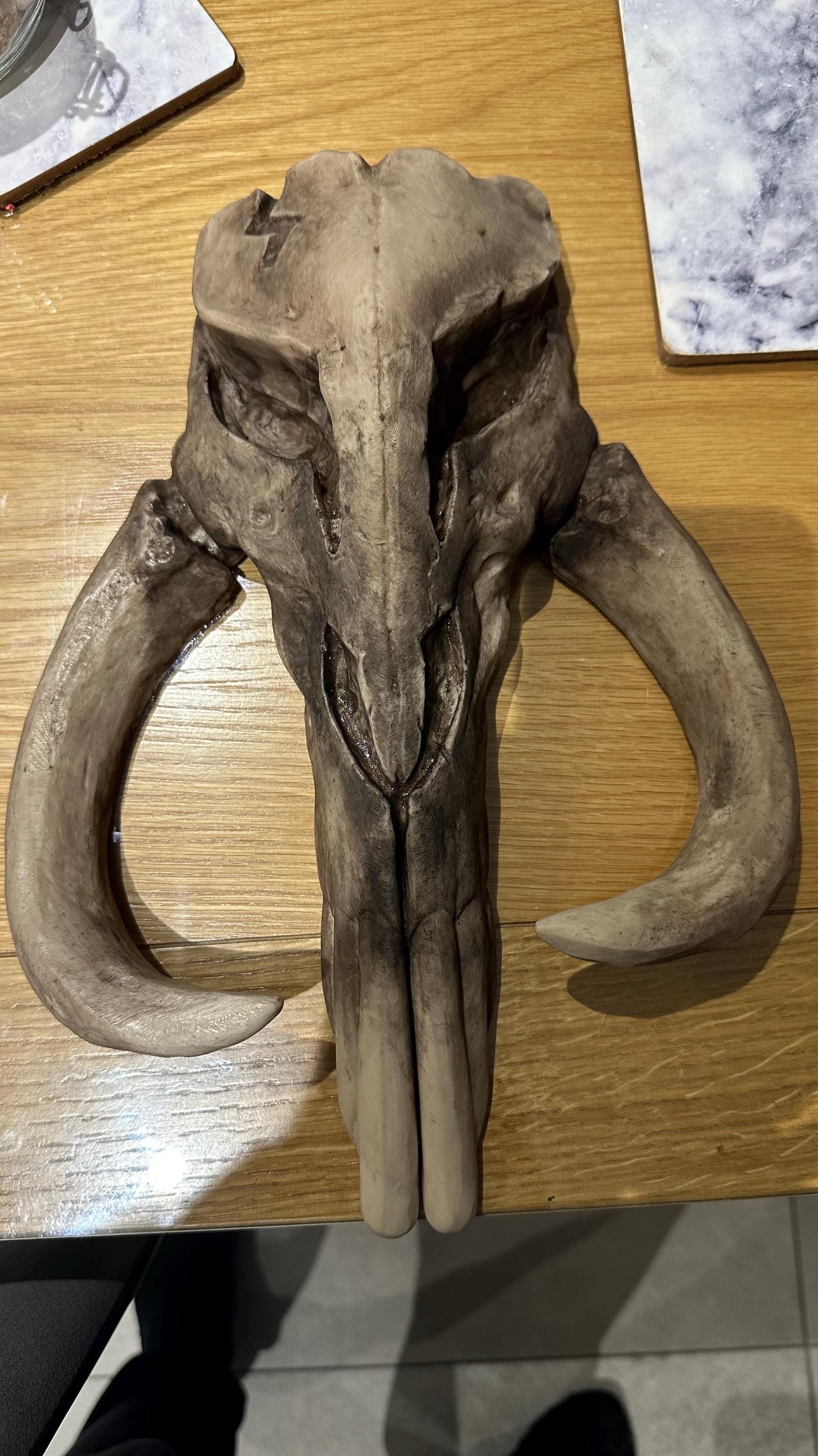 3d Printed Mythosaur Skull Decoration Wall Hanging Ornament Home Decor ...