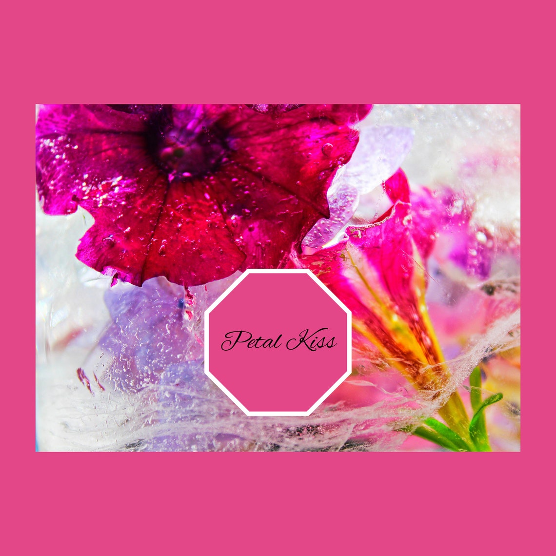 Pink Color Palette | Color Palette With HEX/CMYK/RGB Codes | Color ...