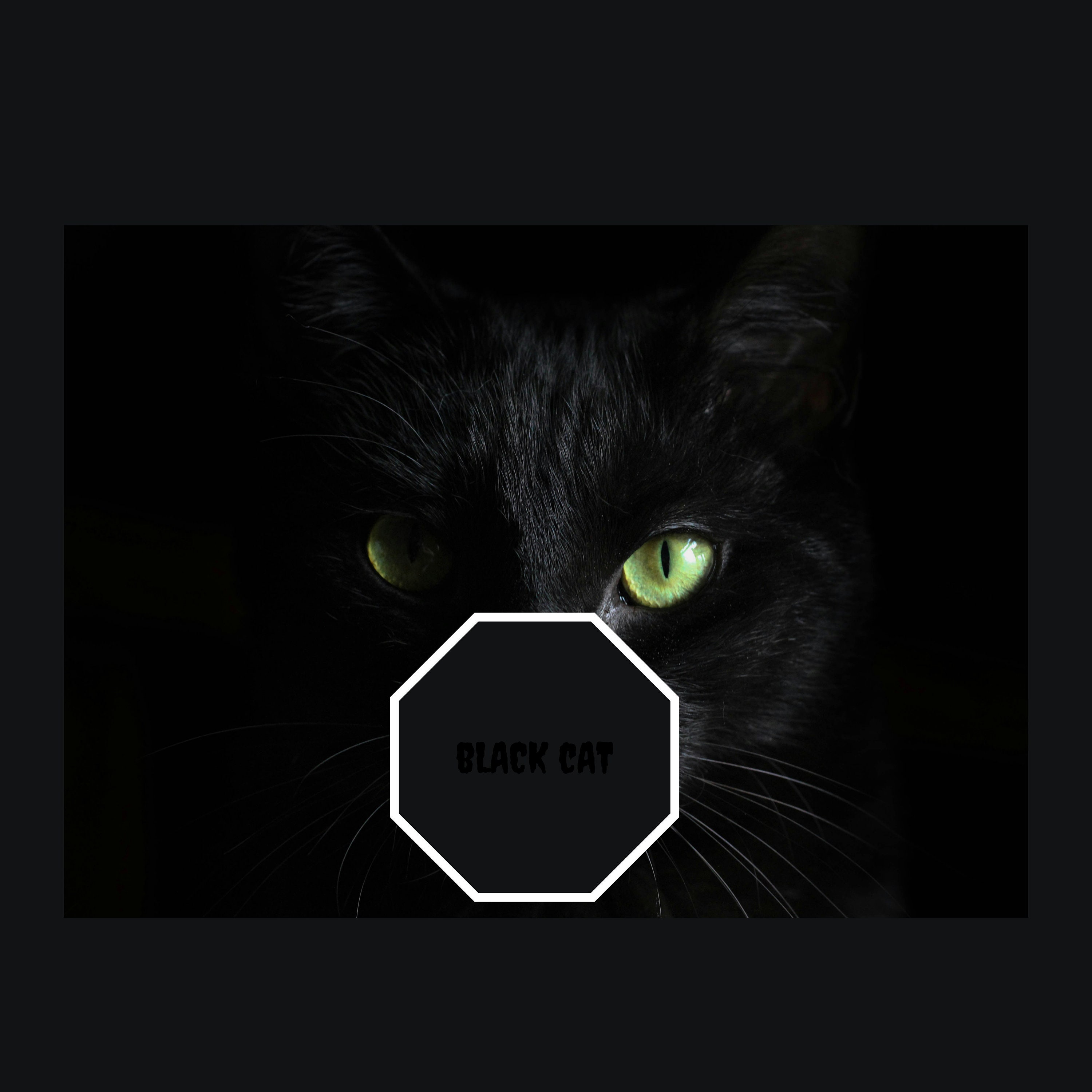 Halloween Color Palette | Color Palette With HEX/CMYK/RGB Codes | Color ...