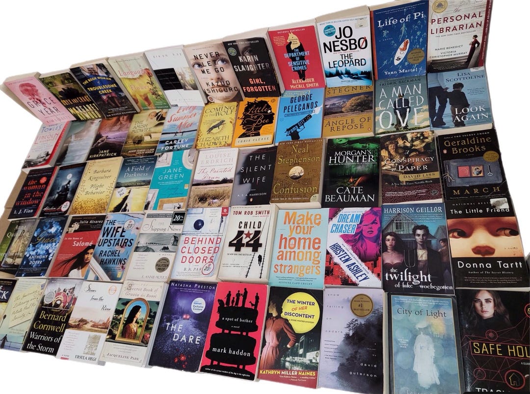 10 Lb Fiction Book Lot: Paperback Mystery, Romance, Thriller Mix - Etsy