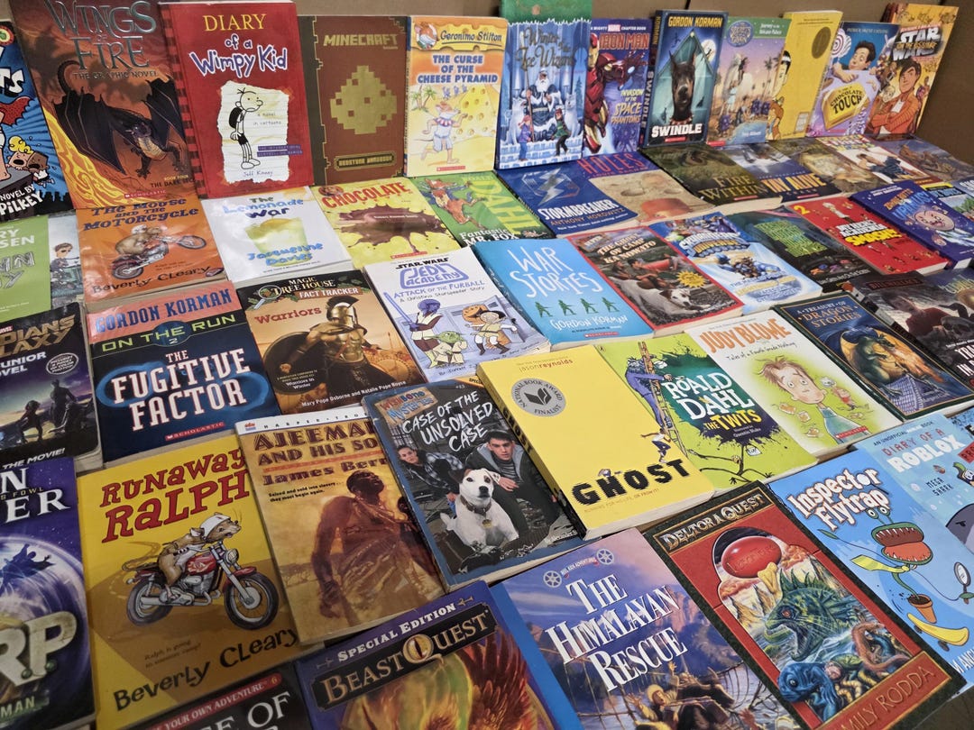 Chapter Books Lot: Unsorted Kids' Reading, RL 2-6 Instant Library - Etsy