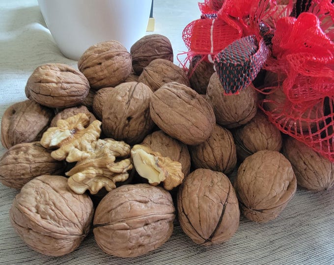 California Walnuts in Shell - Etsy