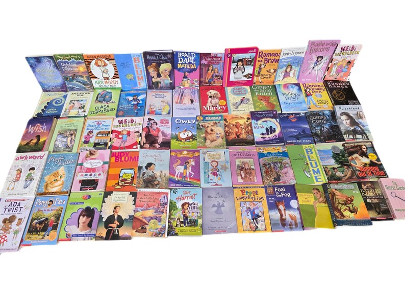 Girls' Chapter Book Lot: Tween Homeschool Library (20 Books, Ages 9-12 ...