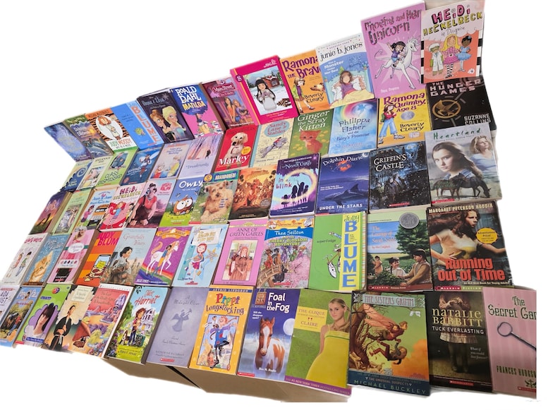 Girls' Chapter Book Lot: Tween Homeschool Library (20 Books, Ages 9-12 ...