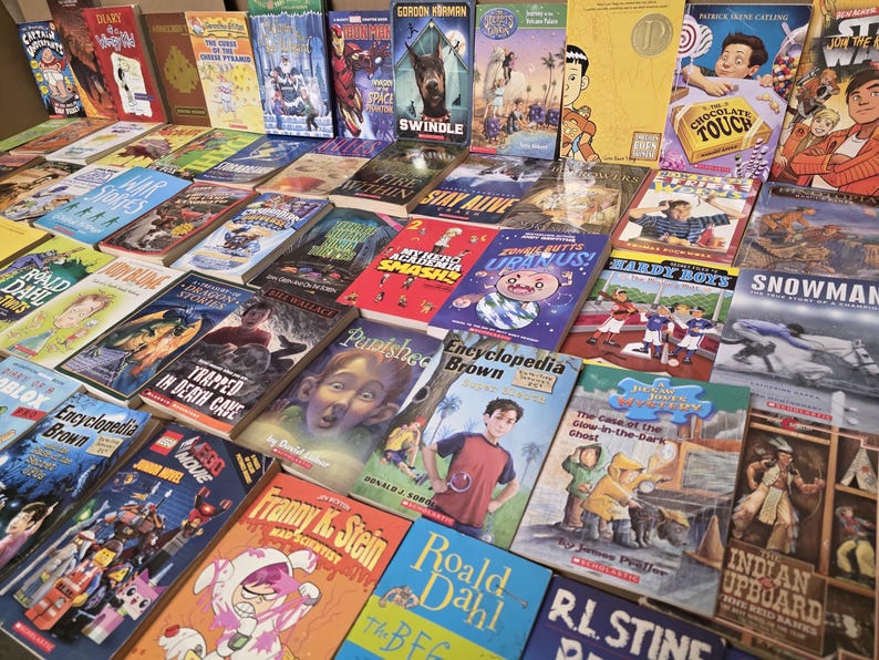 Chapter Books Lot: Unsorted Kids' Reading, RL 2-6 Instant Library - Etsy