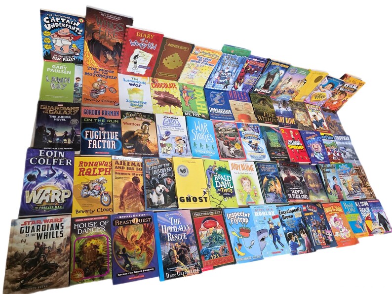 Chapter Books Lot: Unsorted Kids' Reading, RL 2-6 Instant Library - Etsy