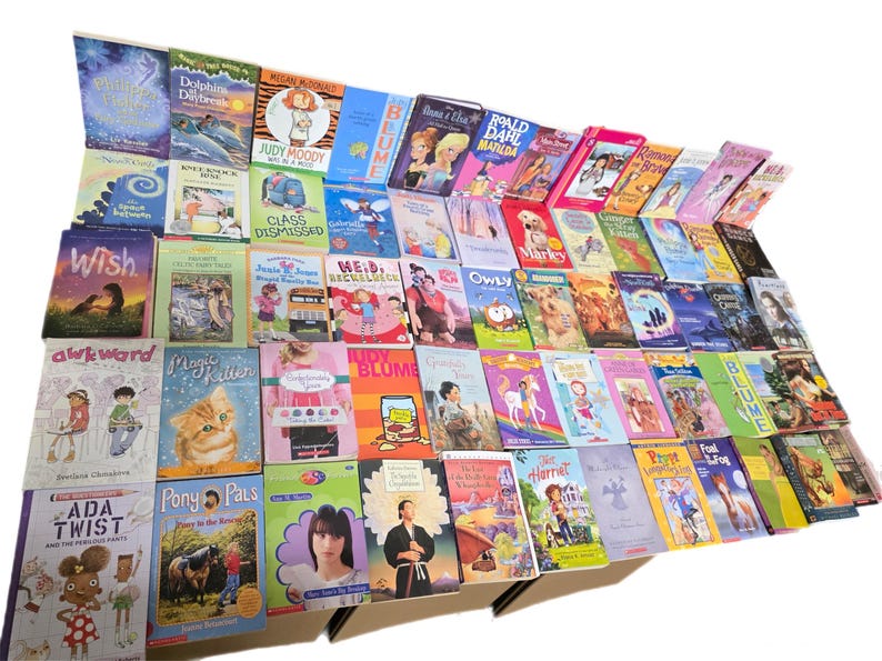 Girls' Chapter Book Lot: Tween Homeschool Library (20 Books, Ages 9-12 ...