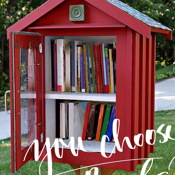 Little Free Library Box - Etsy