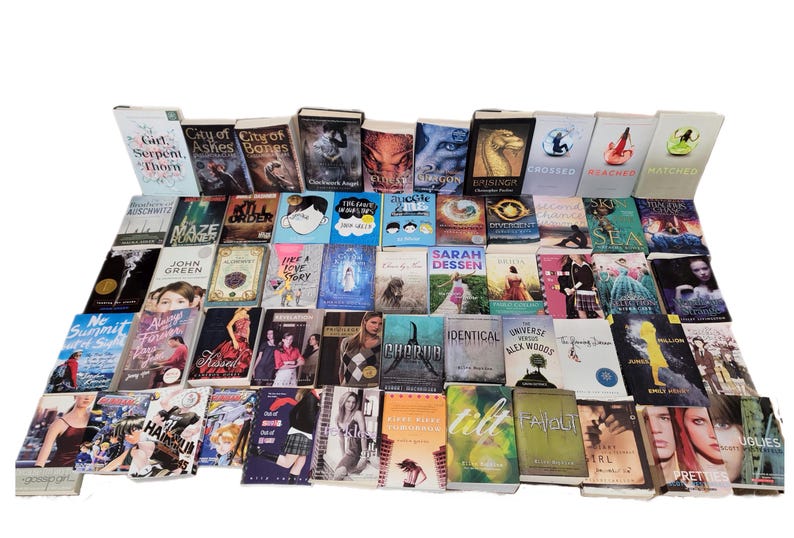 Curated Young Adult Book Lot: Chapter Books, Story Collection - Etsy