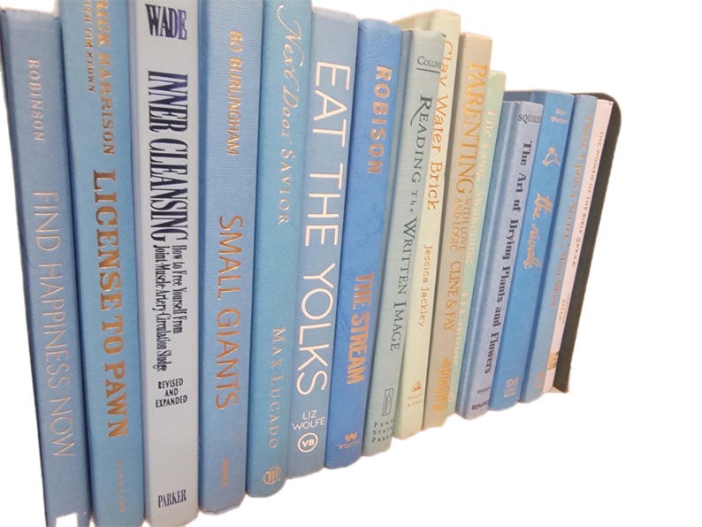 Light Blue Hardcover Books for Staging, Decor, and Display (choose ...