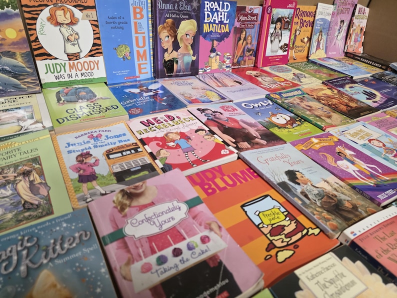 Girls' Chapter Book Lot: Tween Homeschool Library (20 Books, Ages 9-12 ...
