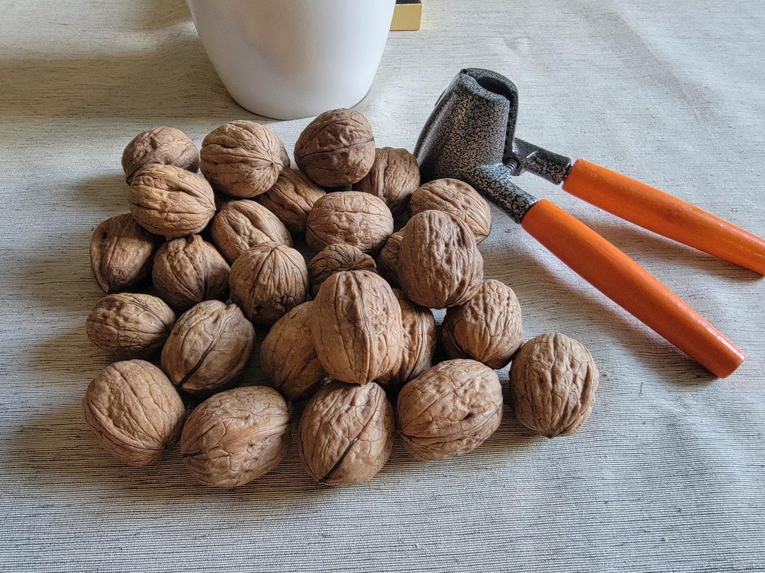 Organic In-shell Walnuts: Northern California Grown, UNBLEACHED, 3 Lbs ...