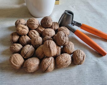 California Walnuts in Shell - Etsy