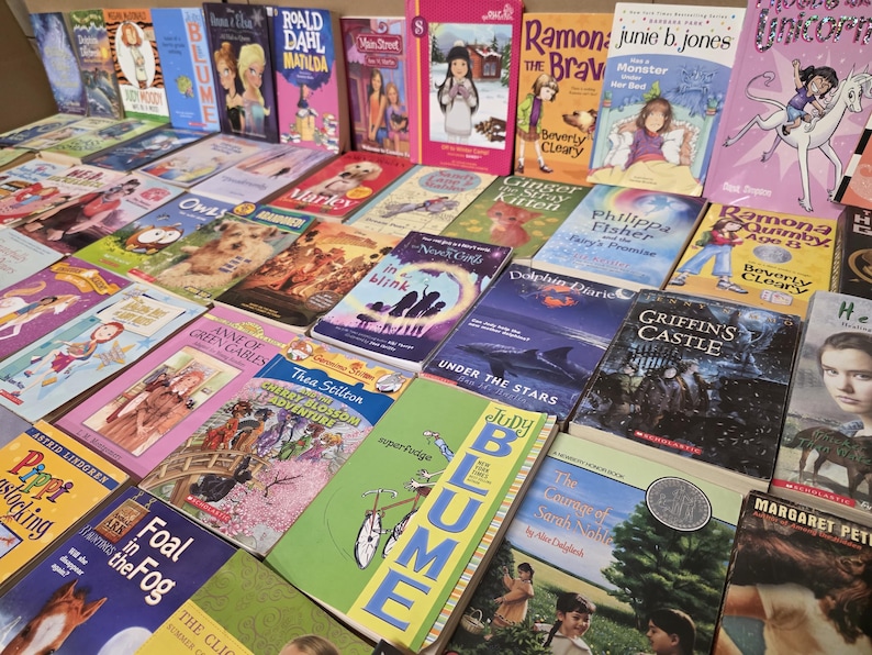 Girls' Chapter Book Lot: Tween Homeschool Library (20 Books, Ages 9-12 ...