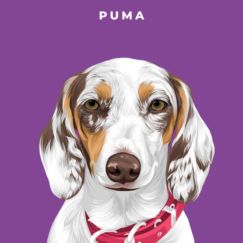 Vector Portrait - Etsy
