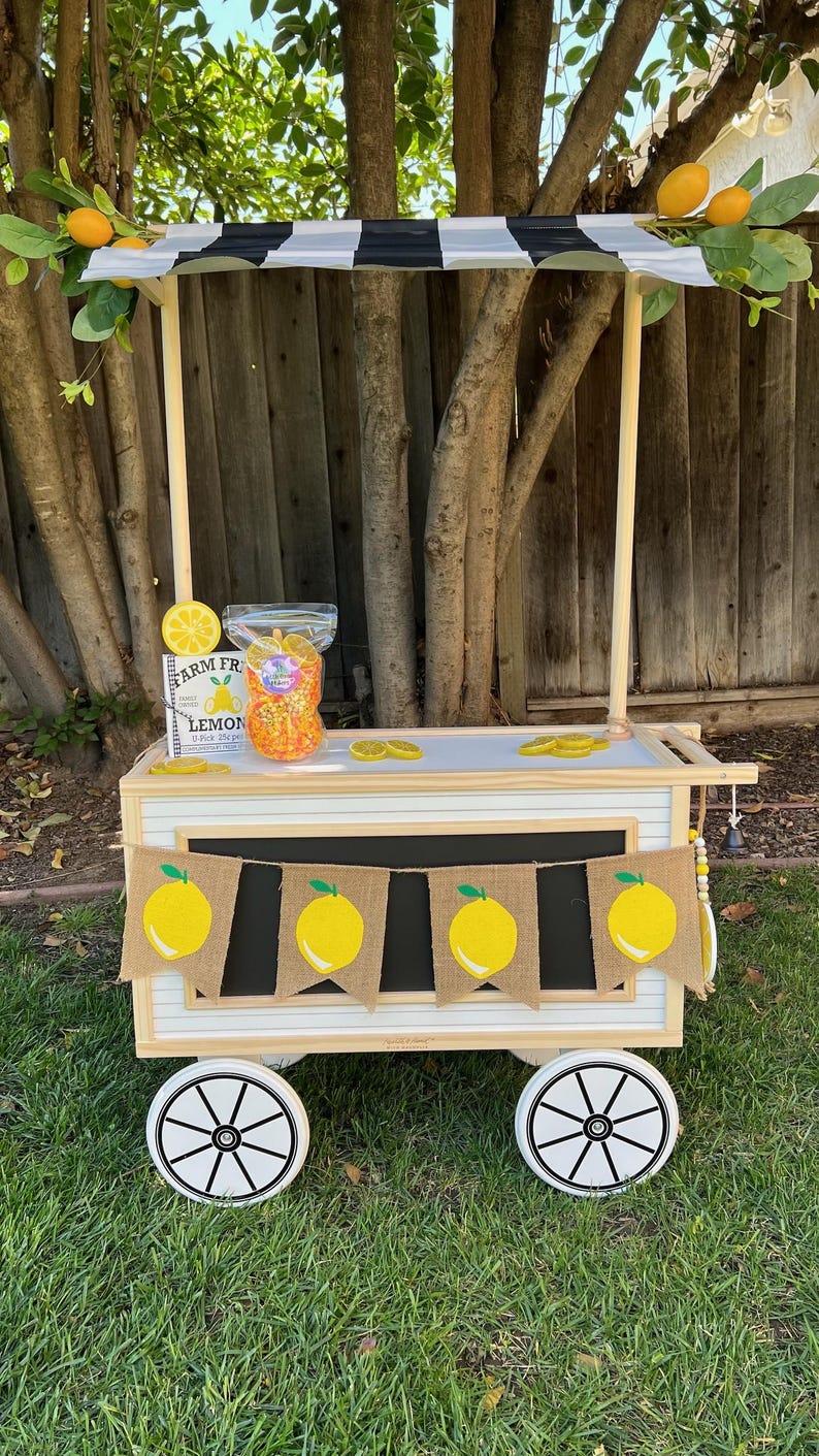 Lemonade Pour and Play Sensory Kit - Etsy