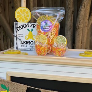Lemonade Sensory Kit / Lemonade Playdough / Party Favor / Birthday ...