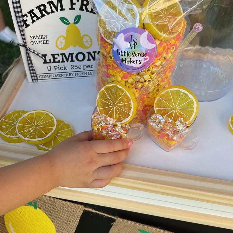 Lemonade Party Favor - Etsy