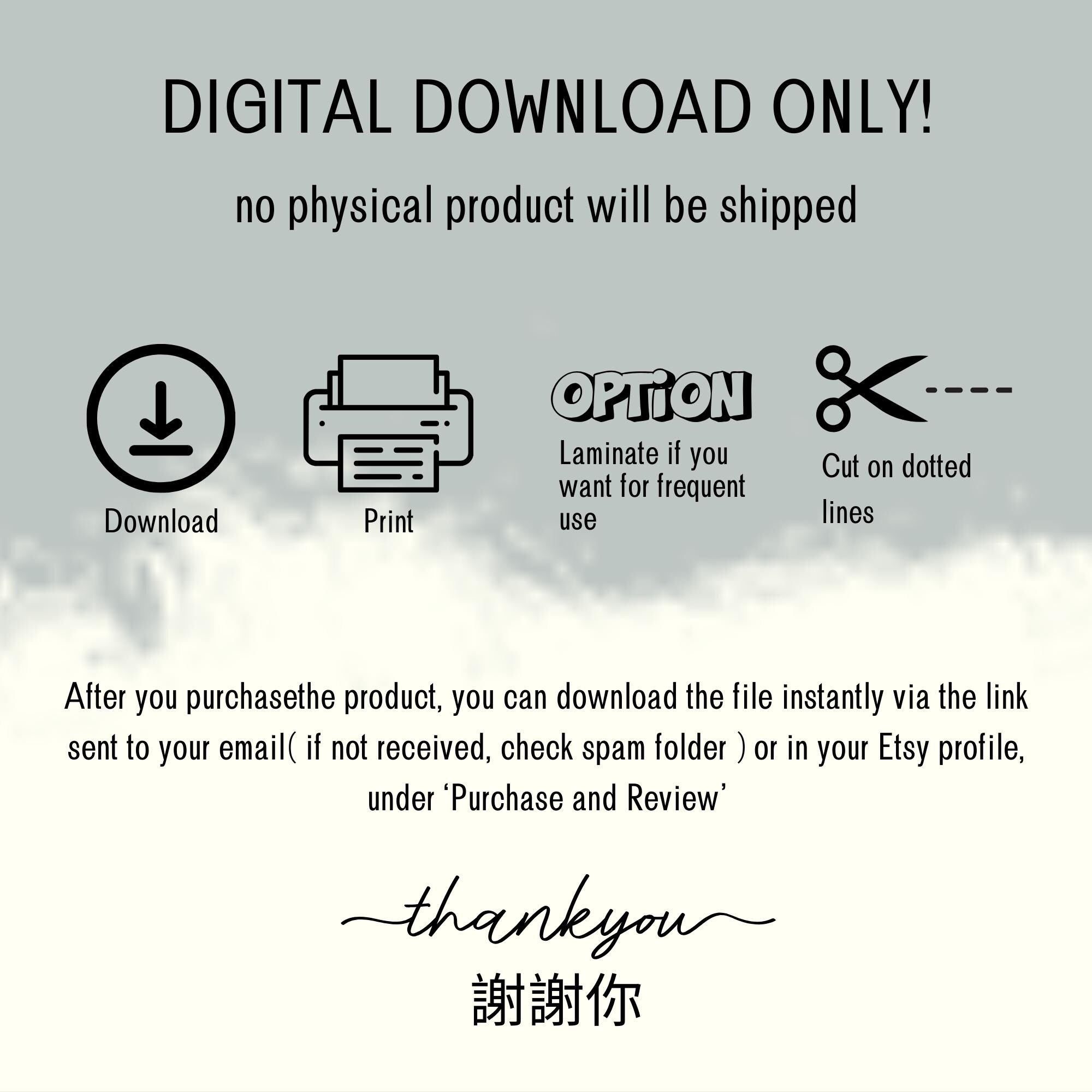 Educational Flashcard Bundle | English-chinese Bilingual Learning | 350 ...