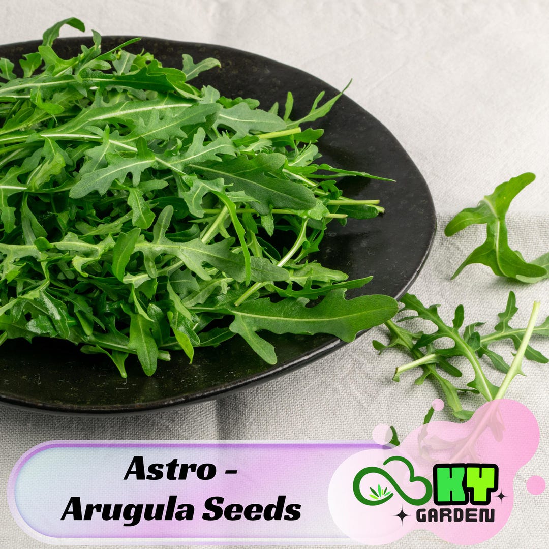 Astro Arugula Seeds - Edible, Fast Growing, Mild Flavor, Heat Tolerant ...