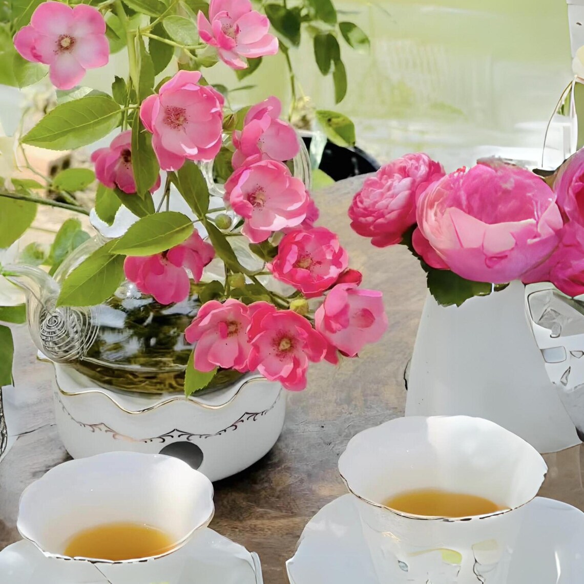 Mac Spice Rose Seeds - Perennial, Open-pollinating, Deciduous ...