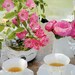 Mac Spice Rose Seeds - Perennial, Open-pollinating, Deciduous ...